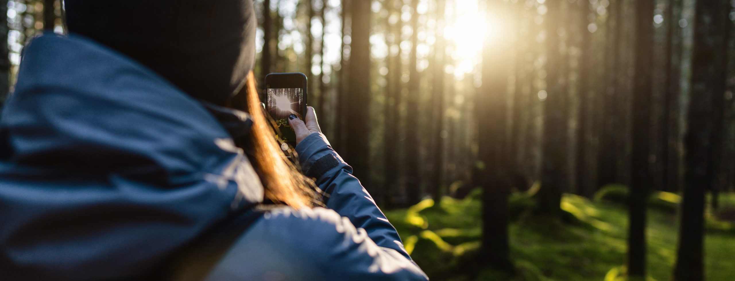 World Facing Camera | Facing Camera | OMNIVISION